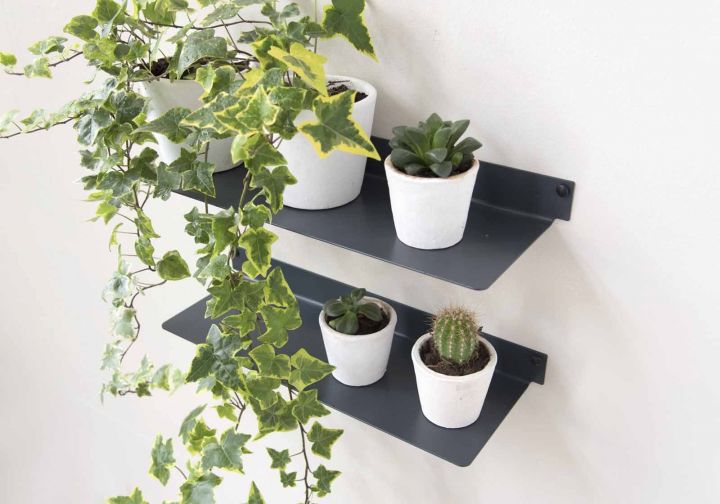 Floating Plant Shelf