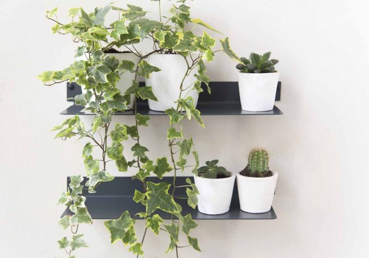 The grey shelf gives you a flawless decor